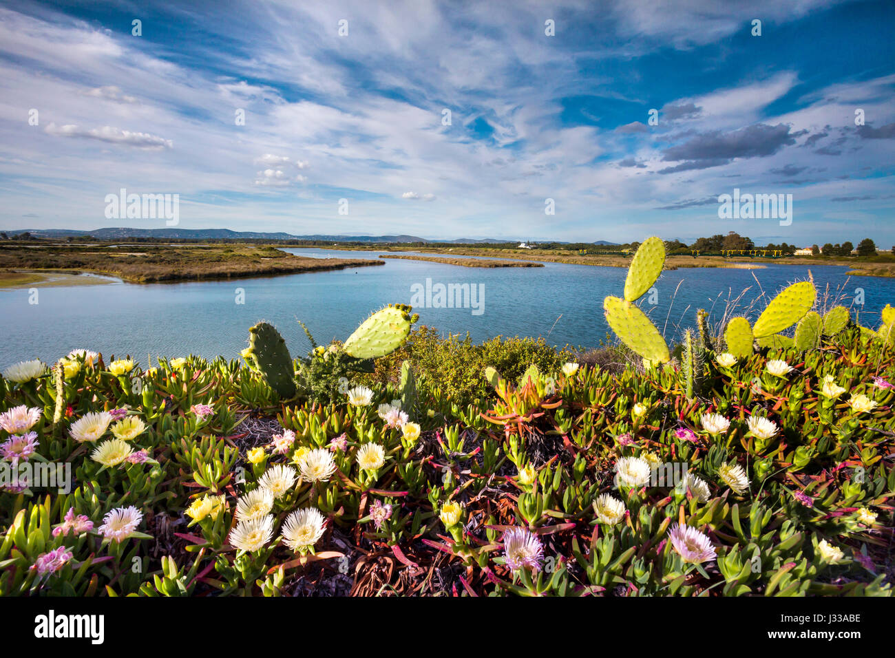 Lagoon, Parque Natural da Ria Formosa near Faro, Algarve, Portugal ...