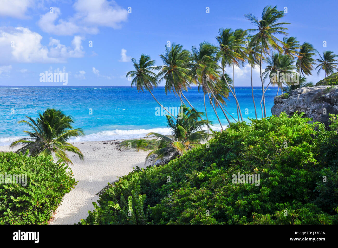 Tropical beach with palm trees, sea, south coast, Barbados, Lesser ...