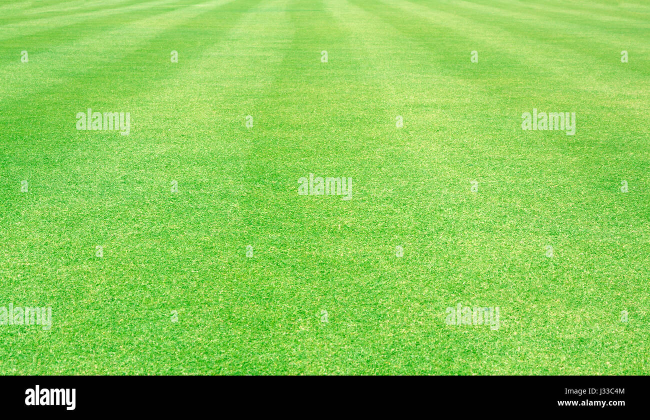 grass background green lawn pattern textured background Stock Photo - Alamy