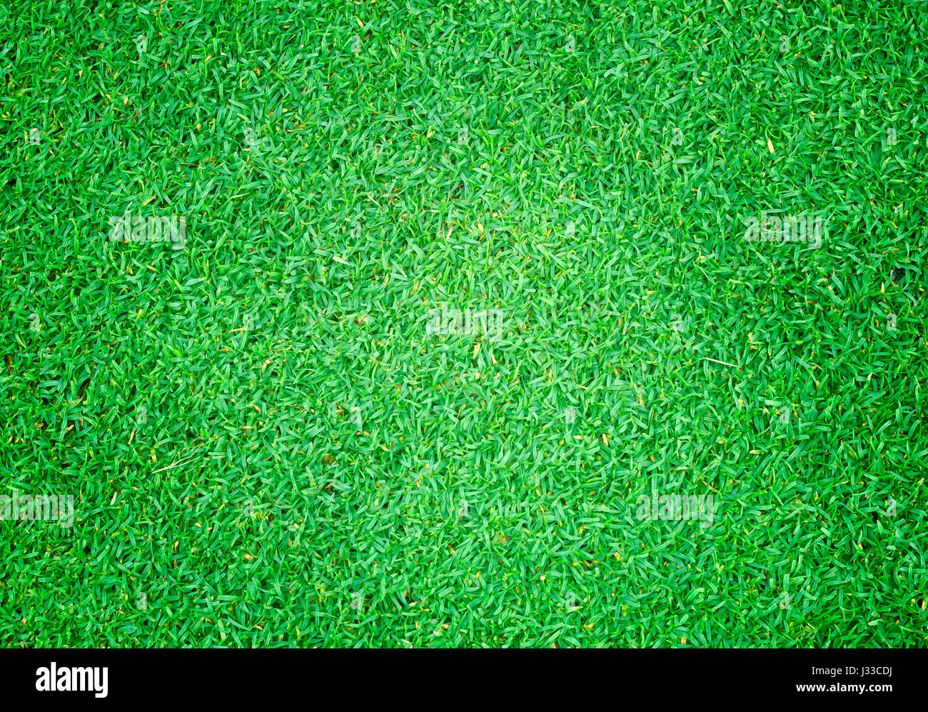 grass background green lawn pattern textured background Stock Photo - Alamy