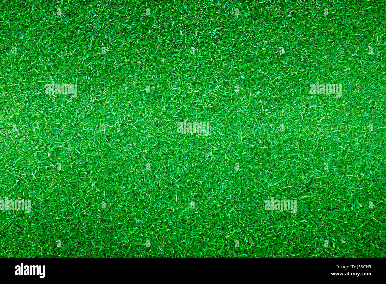 grass background Golf Courses green lawn pattern textured background ...