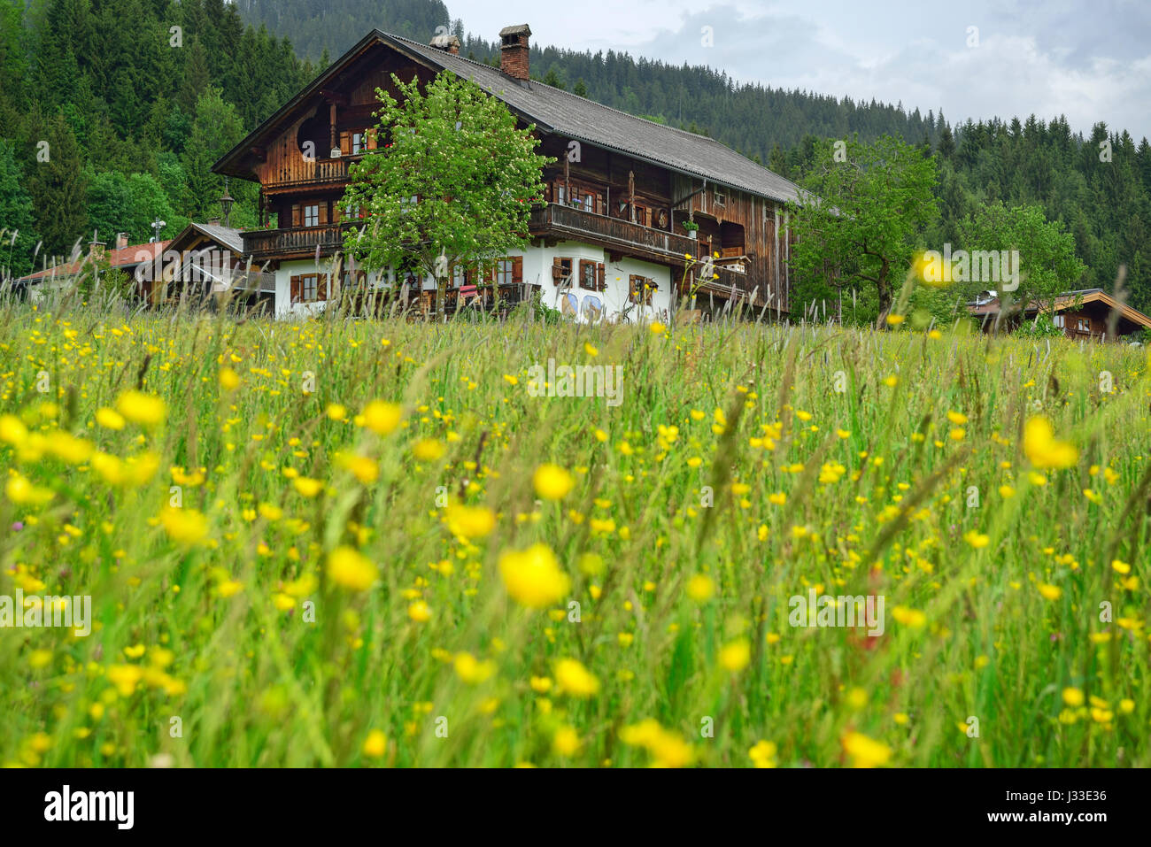 Hopfgarten hi-res stock photography and images - Alamy