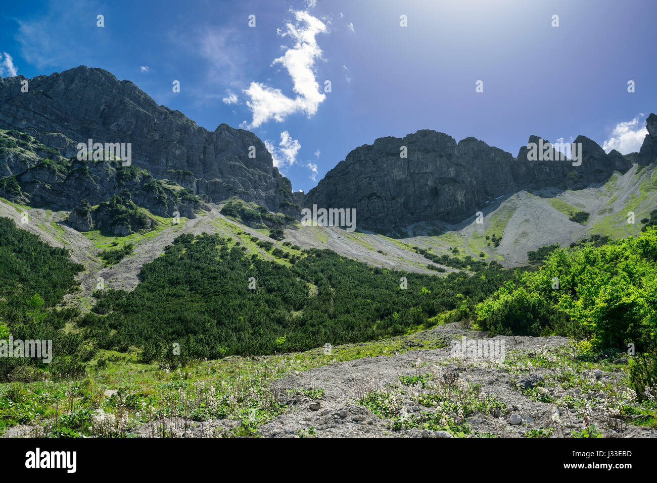 Austrian schinder hi-res stock photography and images - Alamy