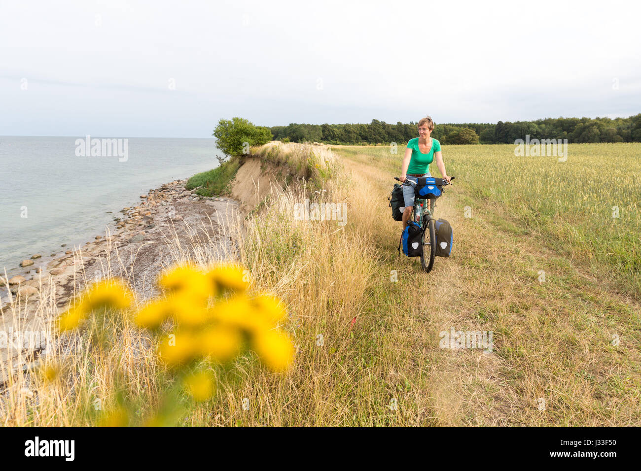 Woman cycling along Baltic Sea, Naesgaard, Falster, Denmark Stock Photo ...