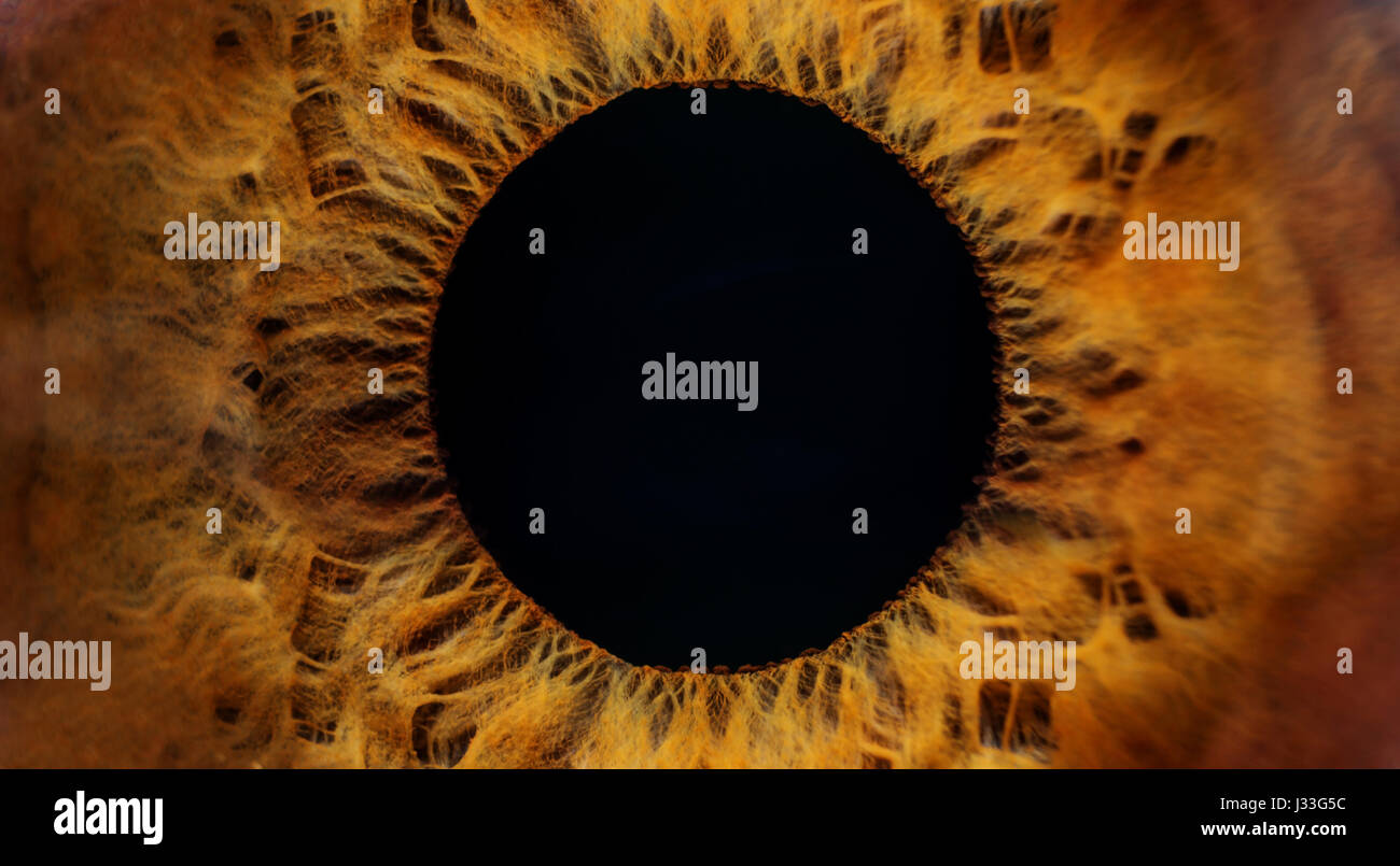 Human eye close up hi-res stock photography and images - Alamy