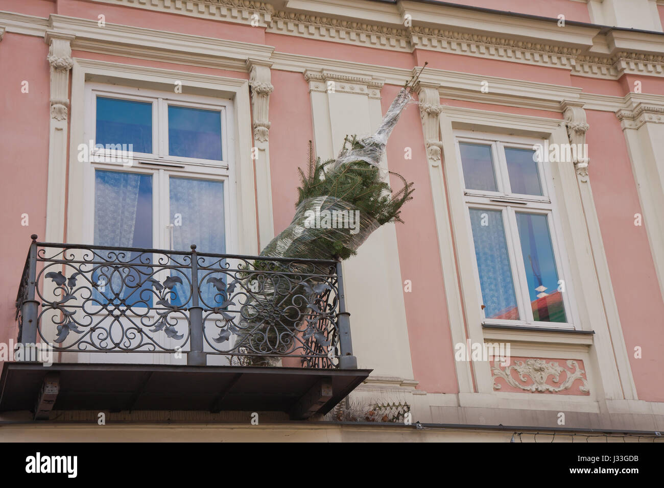 A Christmas tree in a sack waiting for a Christmas time Stock Photo - Alamy