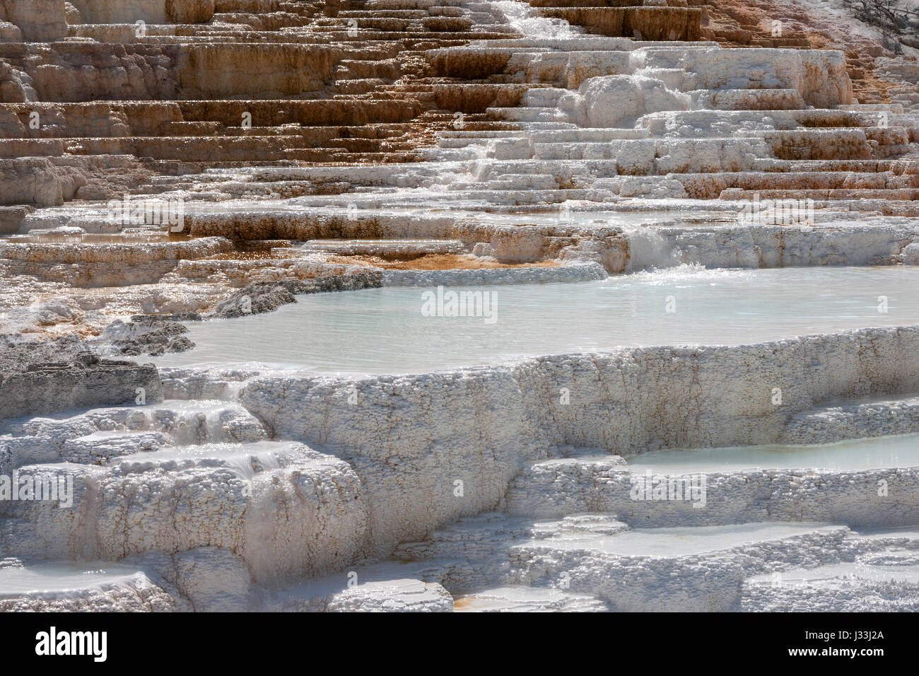 Travertine terraces at mammoth hot springs hi-res stock photography and ...