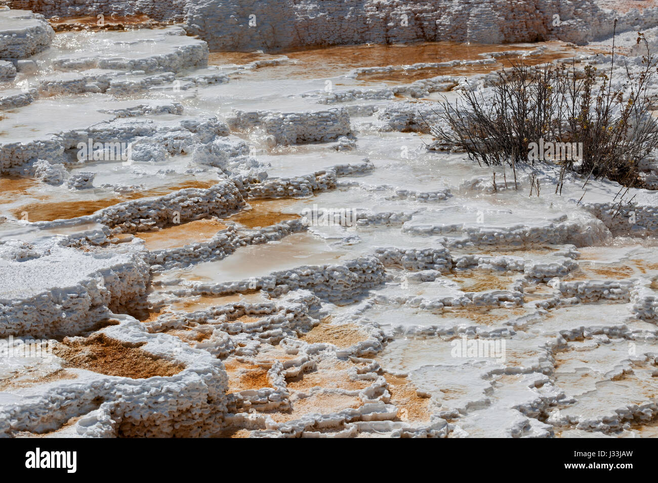 Sinter terraces, hot springs, mineral deposits, Palette Spring, Lower ...