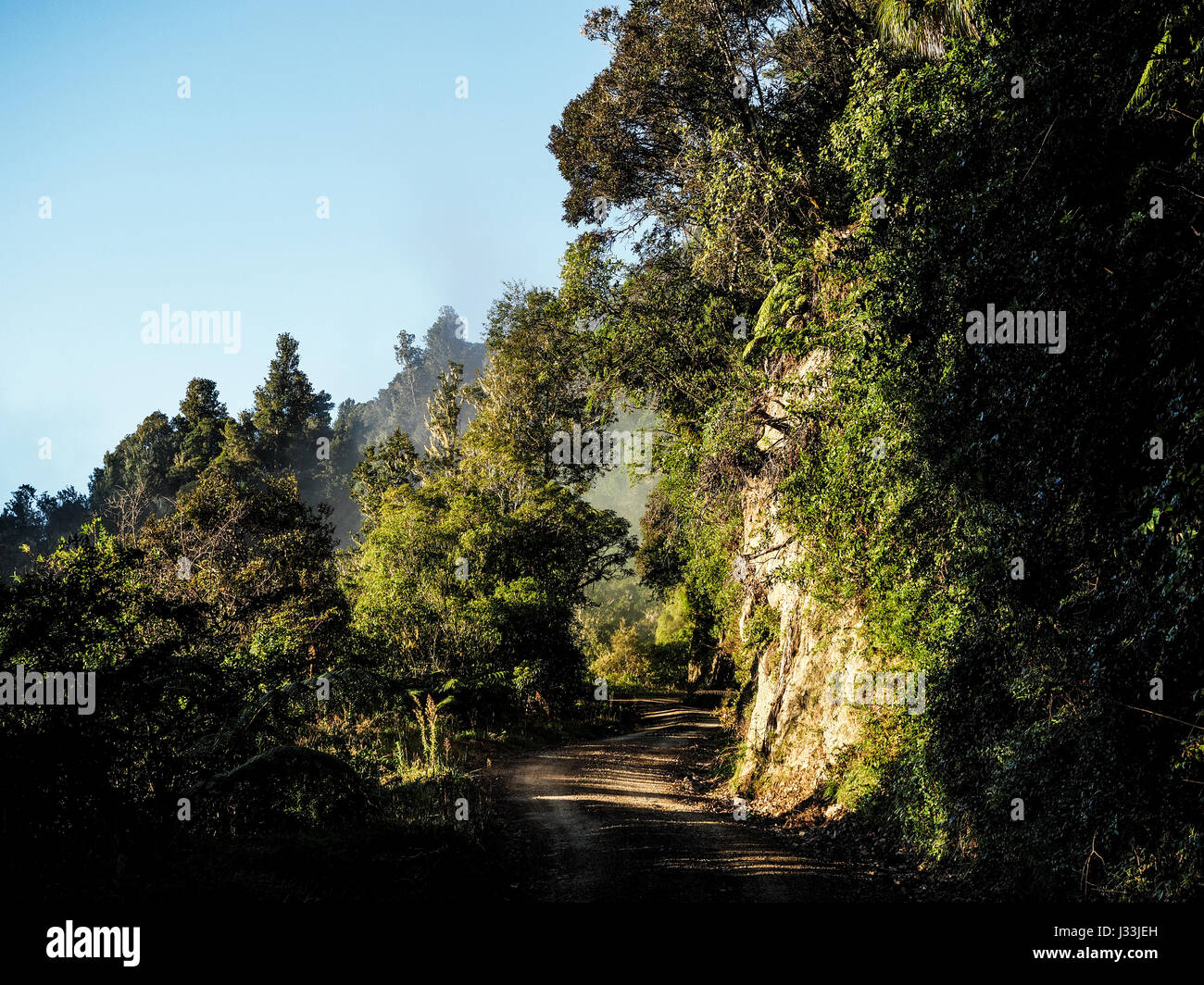 Matahi Vallet Road, Whakatane Distict, Te Urewera, New Zealand, Tuhoe ...