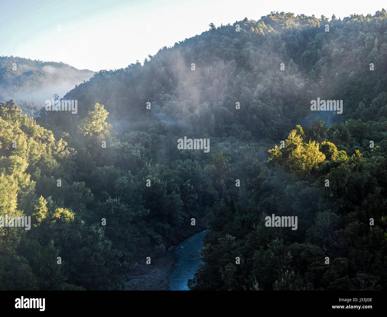 Matahi Vallet Road, Whakatane Distict, Te Urewera, New Zealand, Tuhoe ...