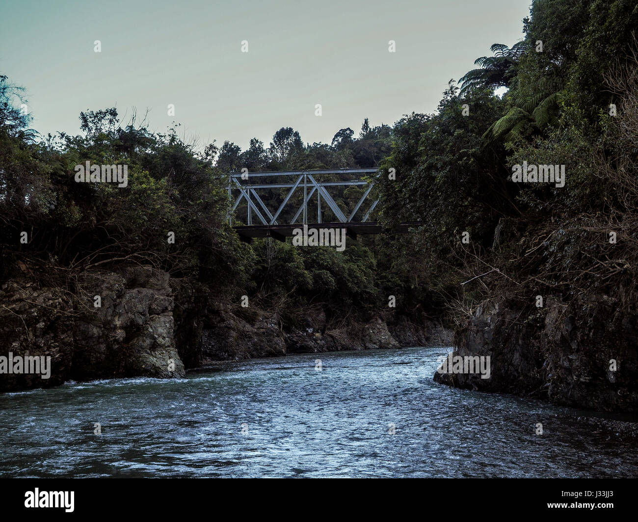 New zealand maori tuhoe hi-res stock photography and images - Alamy