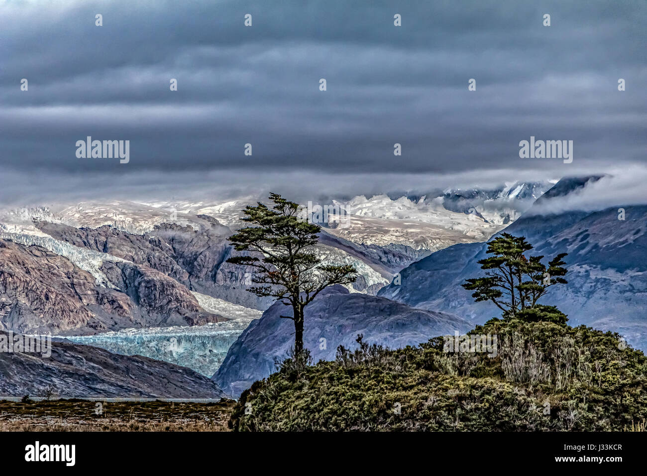 View of Darwin's range Icefield from Ainsworth Bay Stock Photo - Alamy