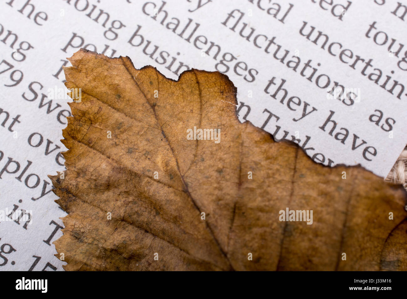 dry leaf on a texted paper background Stock Photo - Alamy