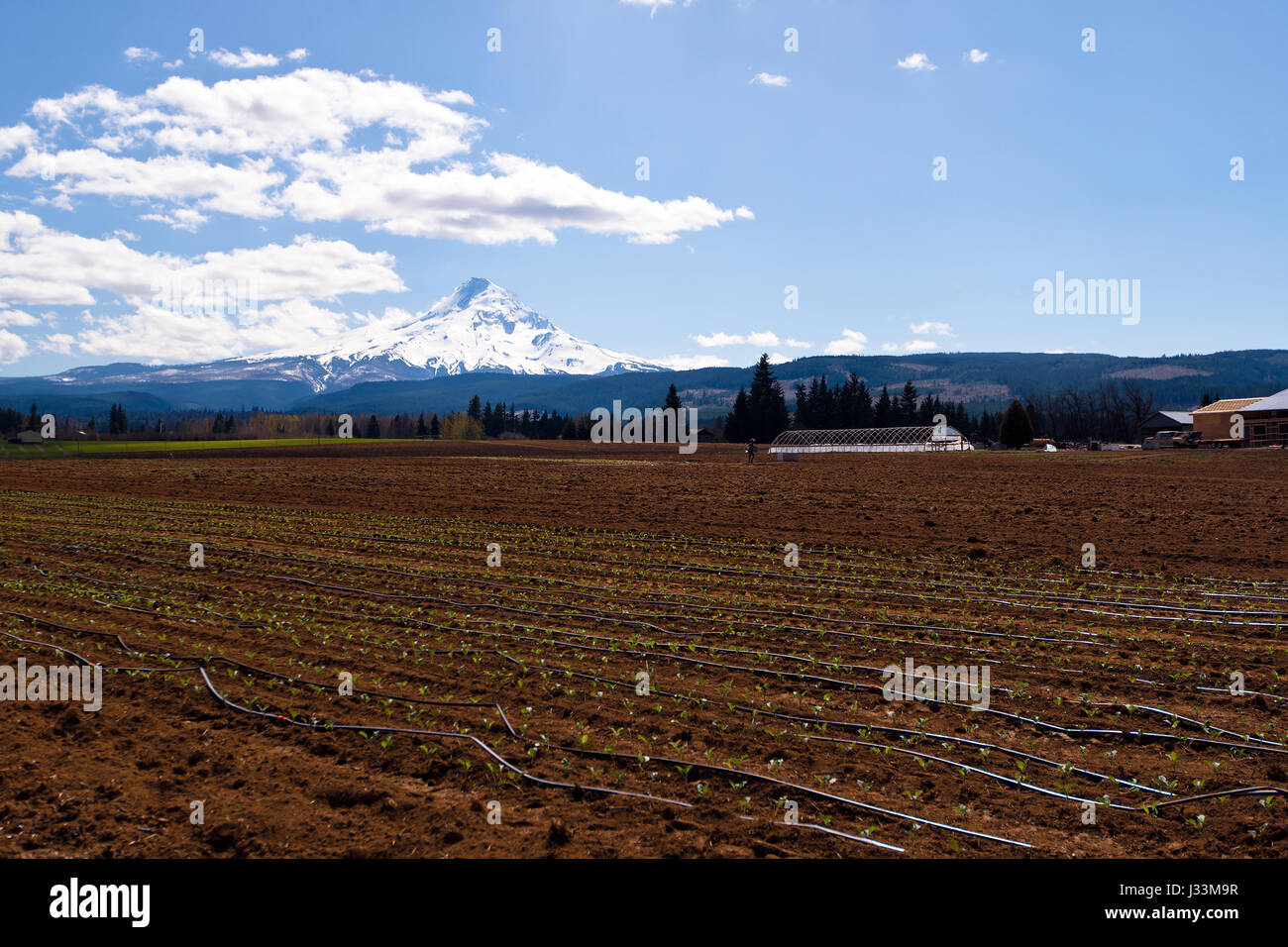 Ridge Planting System High Resolution Stock Photography and Images - Alamy