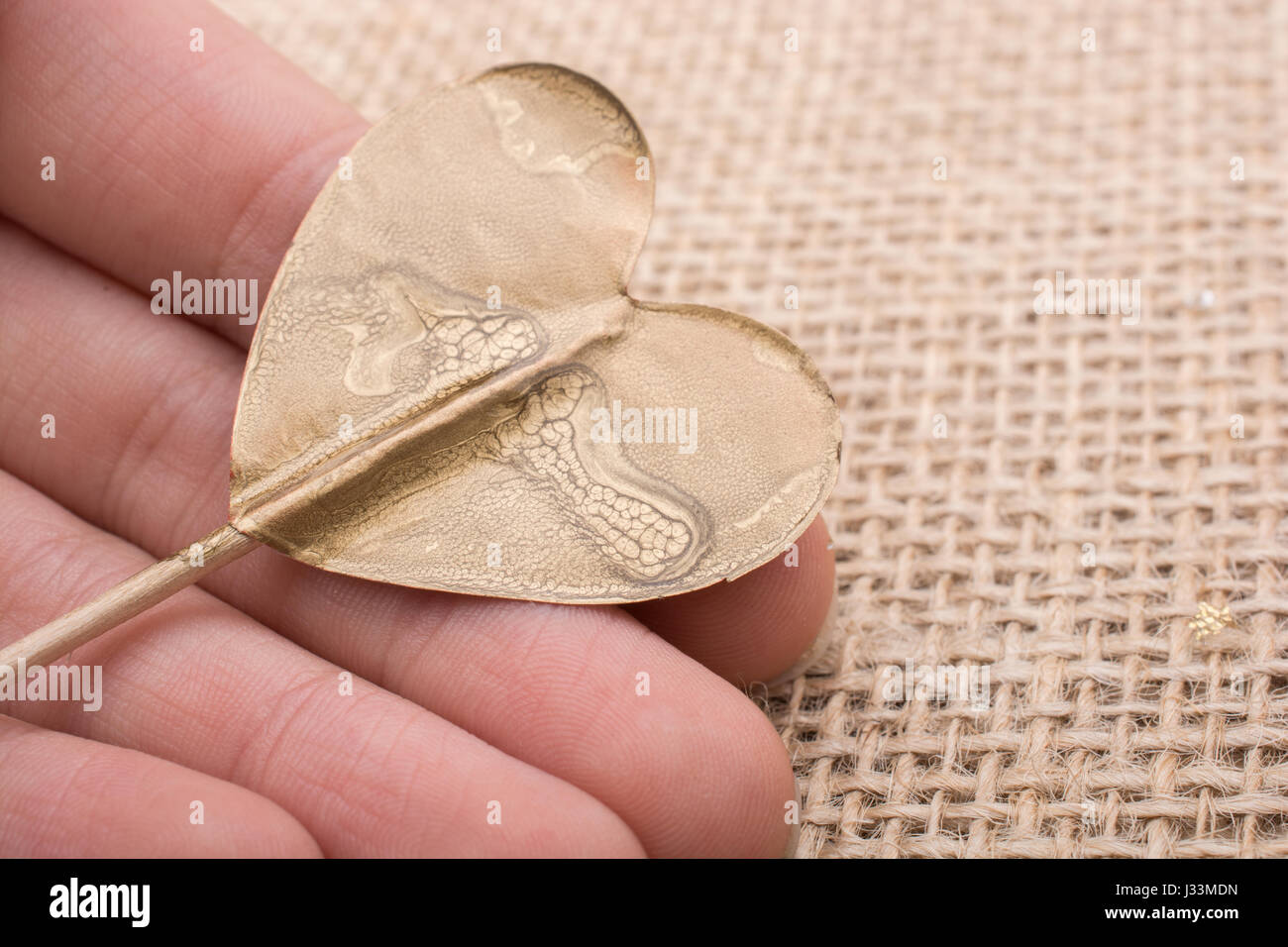 Little gold color heart shape held in a hand Stock Photo - Alamy