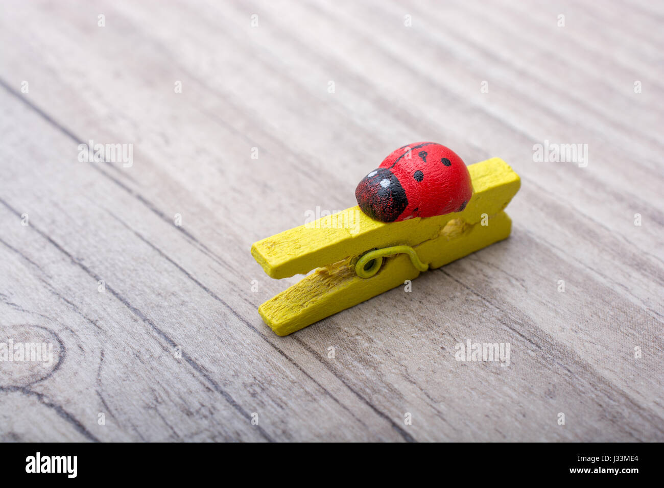 Ladybug pin hi-res stock photography and images - Alamy