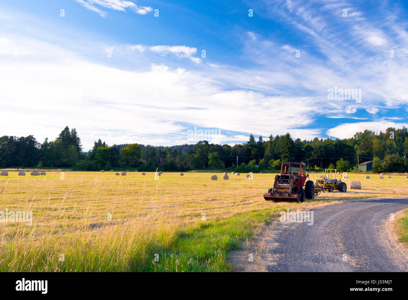 Rolled into a roll hi-res stock photography and images - Alamy
