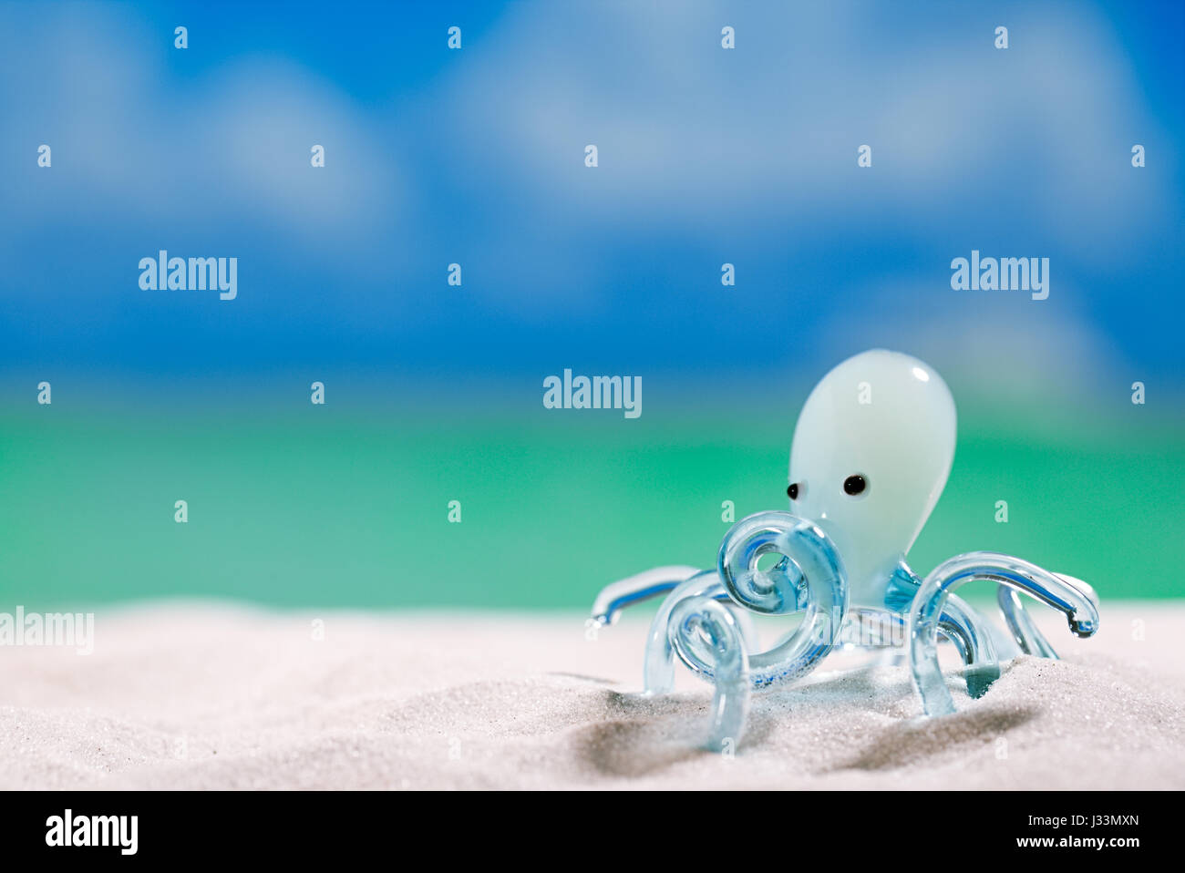 glass tropical sea octopus on white beach sand under the sun light ...