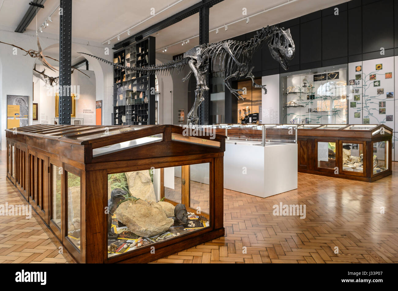 The Lapworth Museum of Geology, Birmingham. One of the leading ...