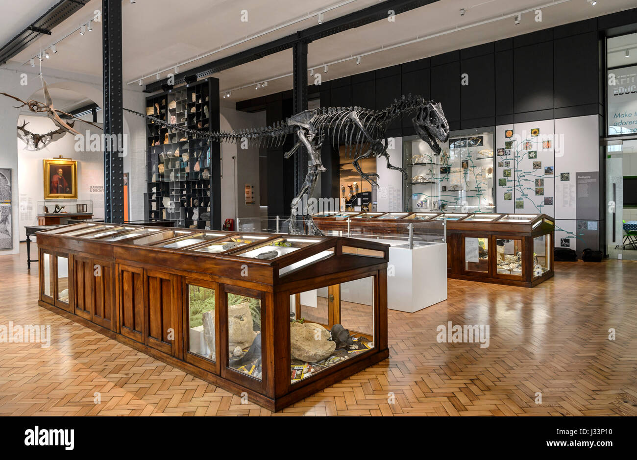 The Lapworth Museum of Geology, Birmingham. One of the leading ...