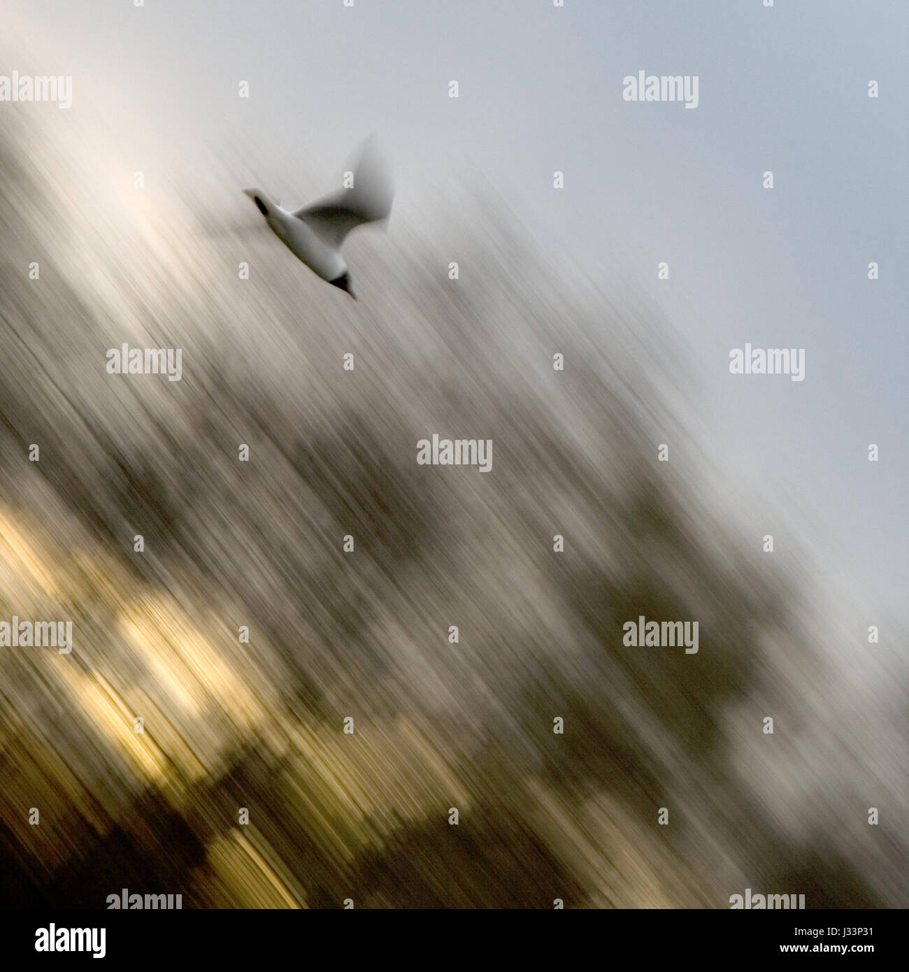 Dynamic scene hi-res stock photography and images - Alamy