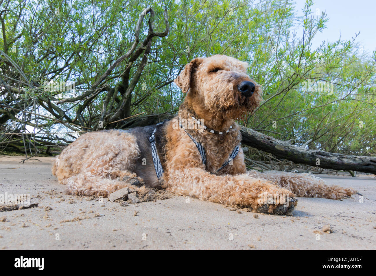 Realaxing on beach hi-res stock photography and images - Alamy