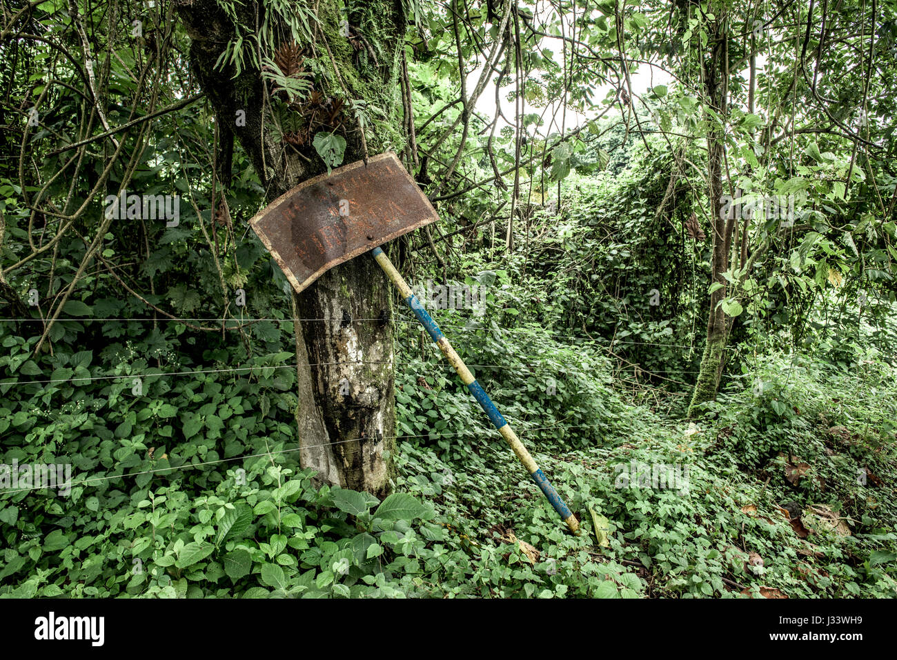 Rdc forest hi-res stock photography and images - Alamy