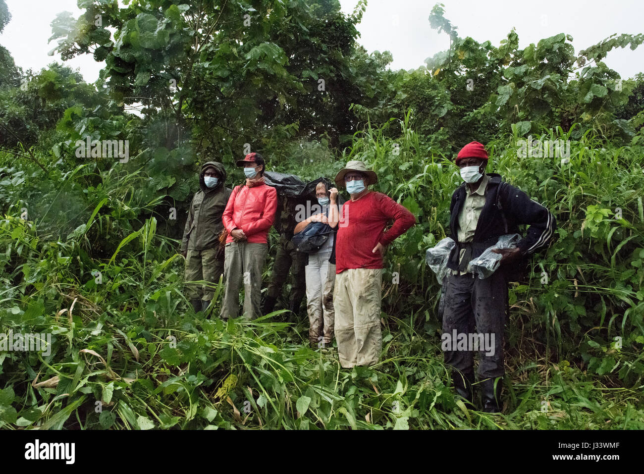 Rdc forest hi-res stock photography and images - Alamy