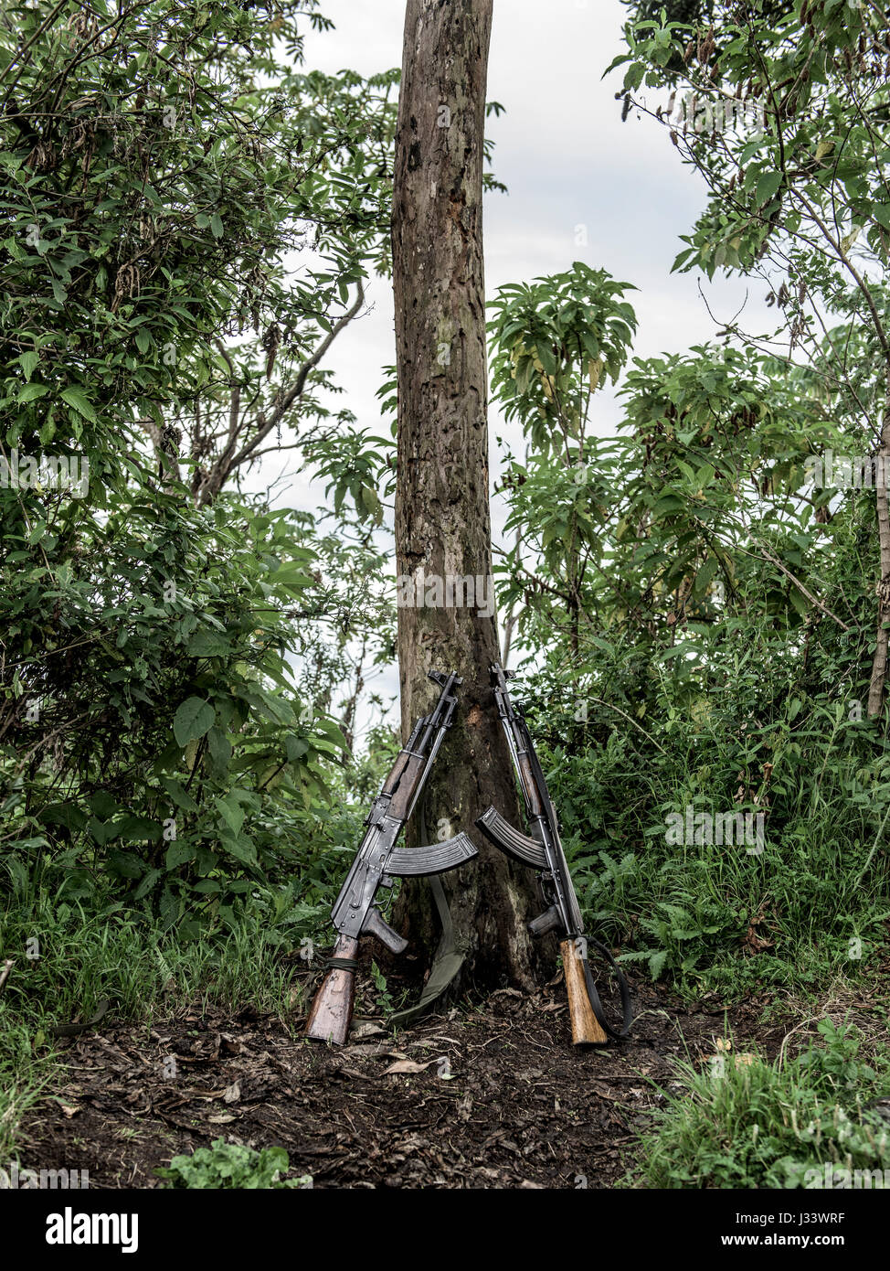 Weapons against a tree in RDC Stock Photo - Alamy