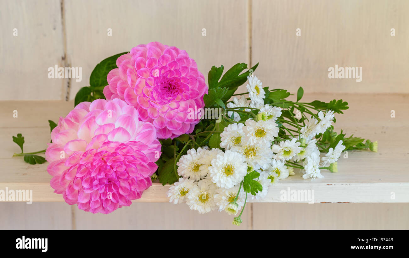Pretty pink dahlias and white feverfew laying on a shelf Stock Photo ...