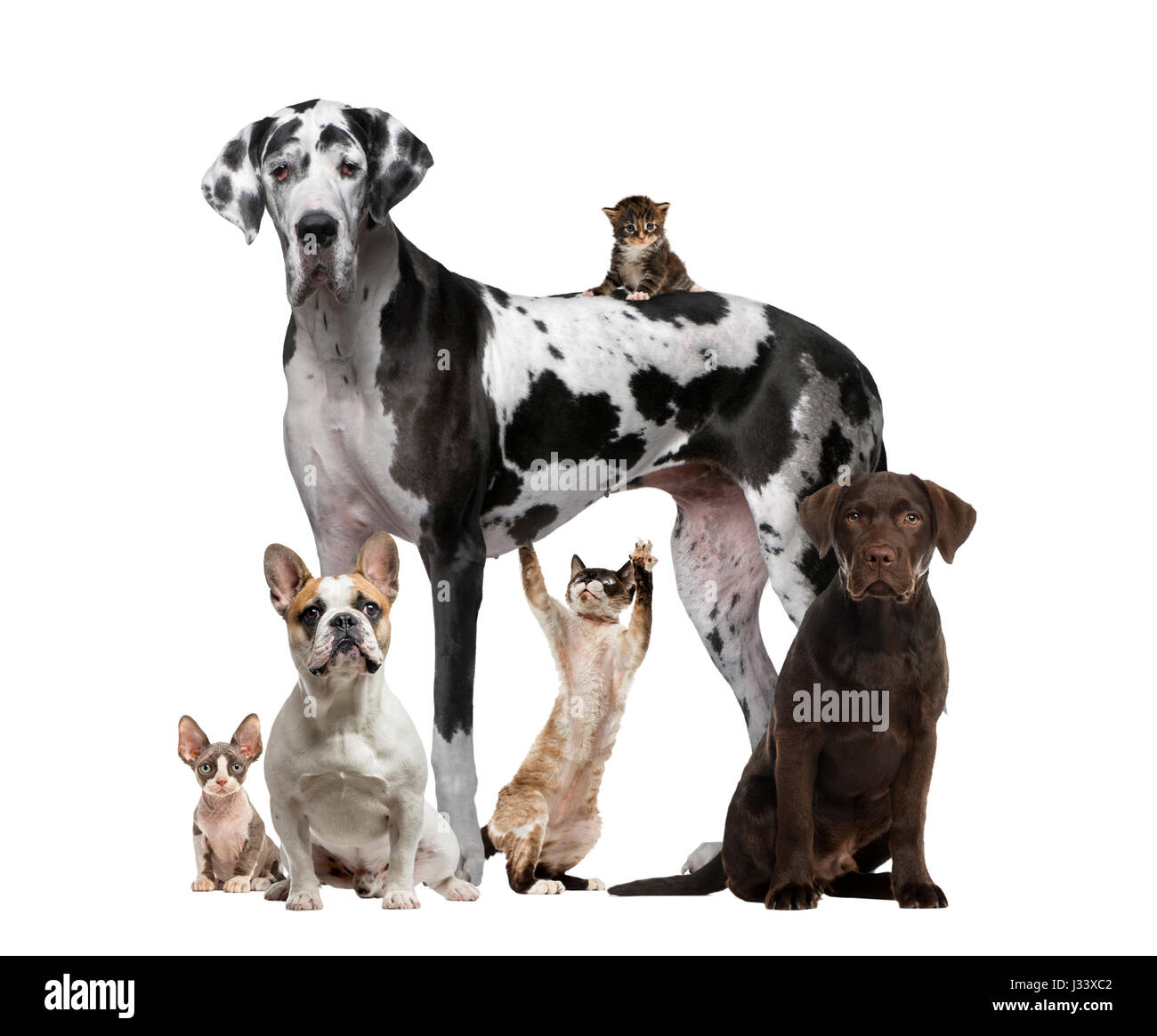 Great assembly Cut Out Stock Images & Pictures - Alamy