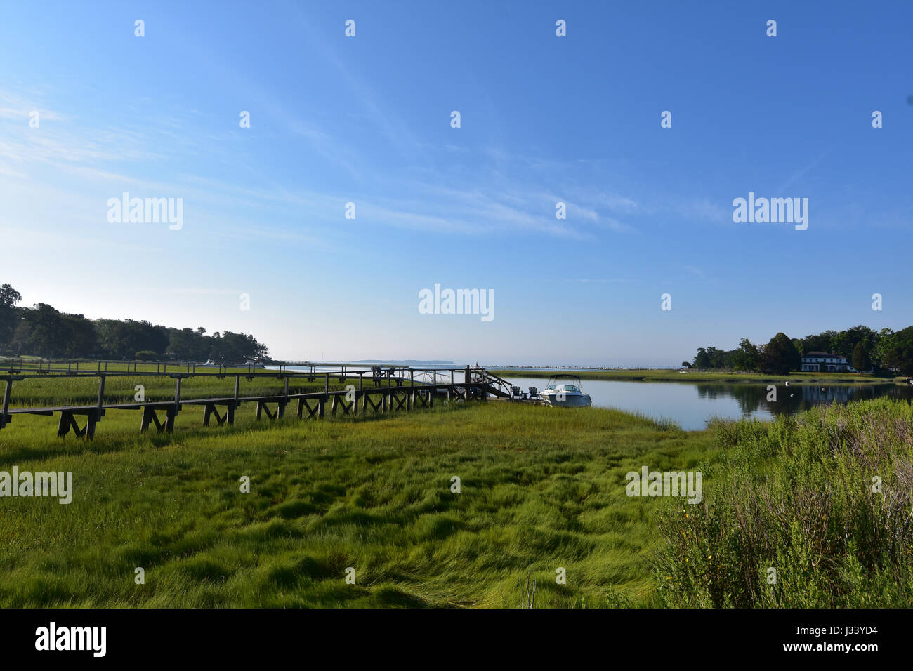 Lush green marsh grass with scenic views of Duxbury Bay Stock Photo - Alamy