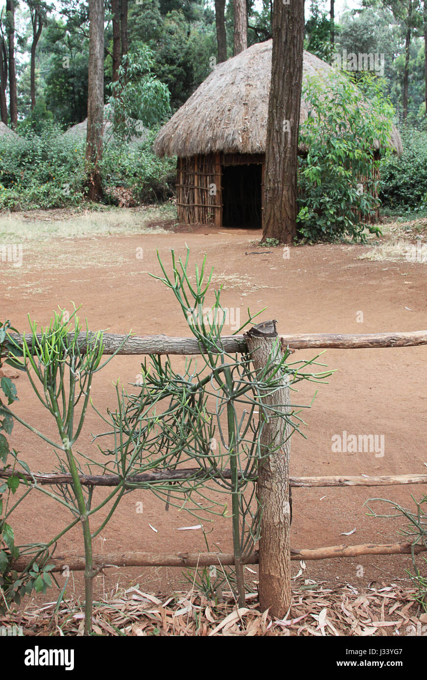Hut in traditional Kenyan village Stock Photo - Alamy