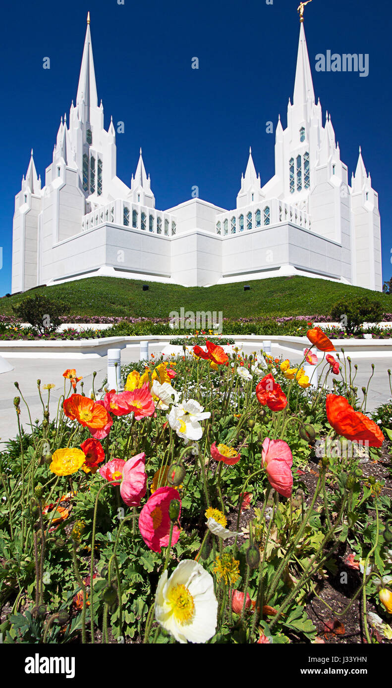 Mormon temple with flowers in foreground Stock Photo - Alamy