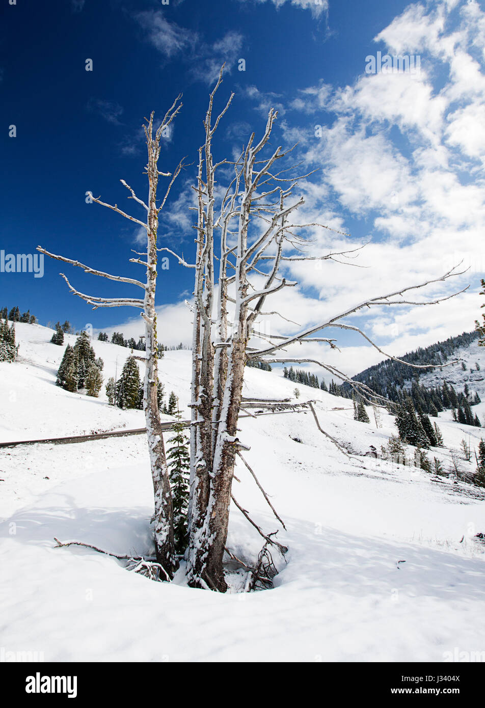 Dead cold hi-res stock photography and images - Alamy