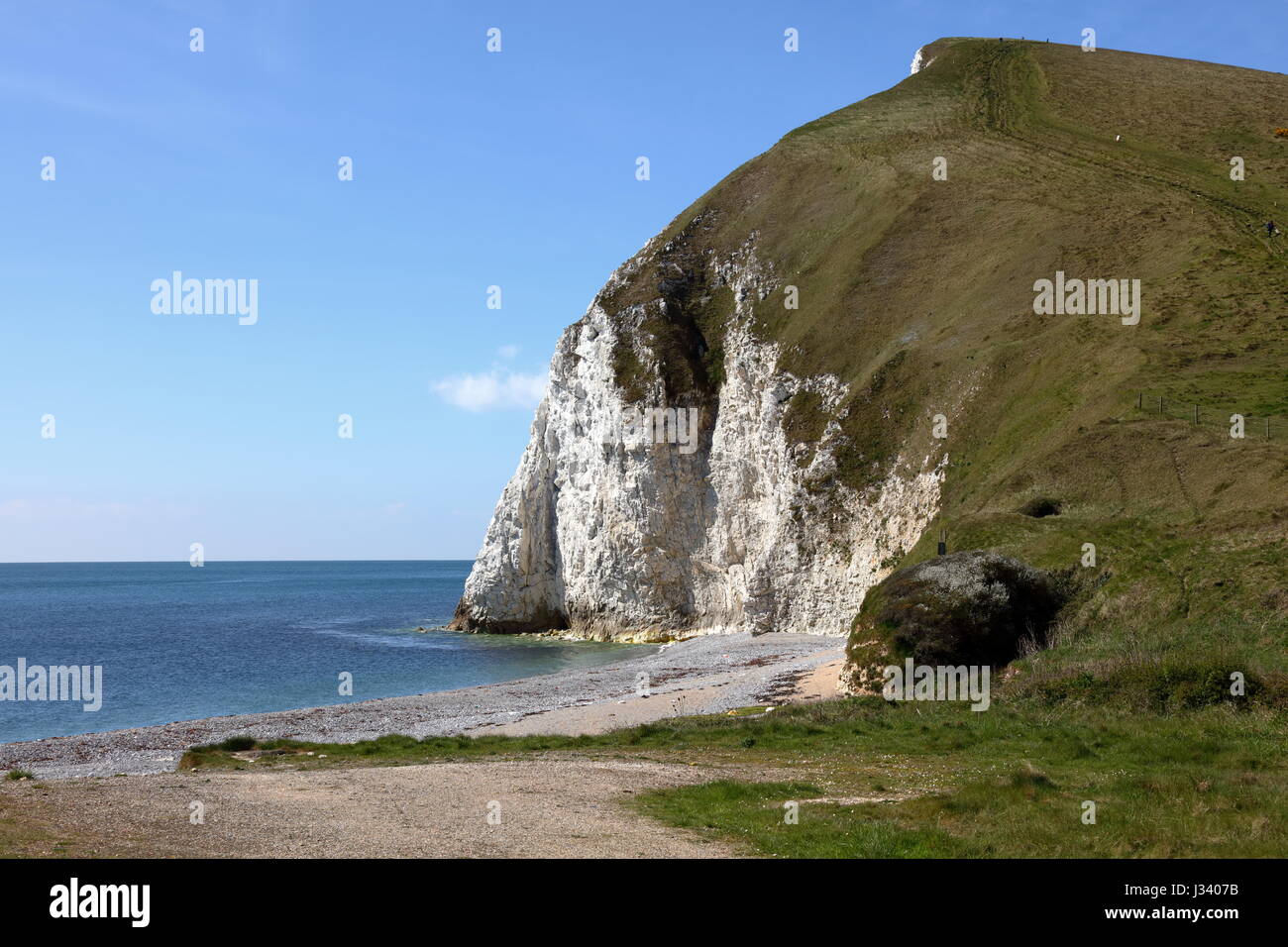 South West Coast path across Lulworth ranges give magnificent views of ...