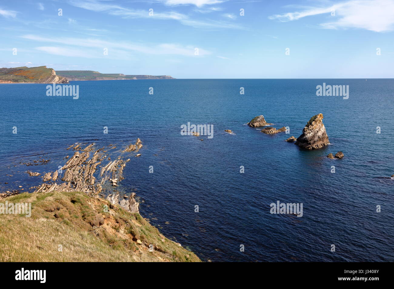 Mupe Rocks and Ledges near the Bay below Bindon Hill between Lulworth ...