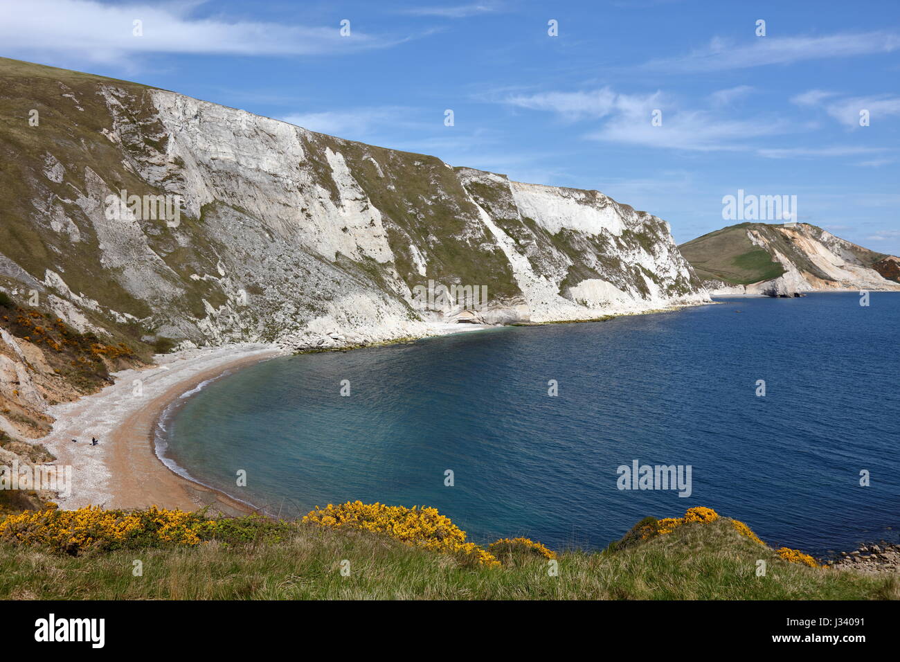 Crumbling chalk cliff face with well-established sea eroded talus cone ...