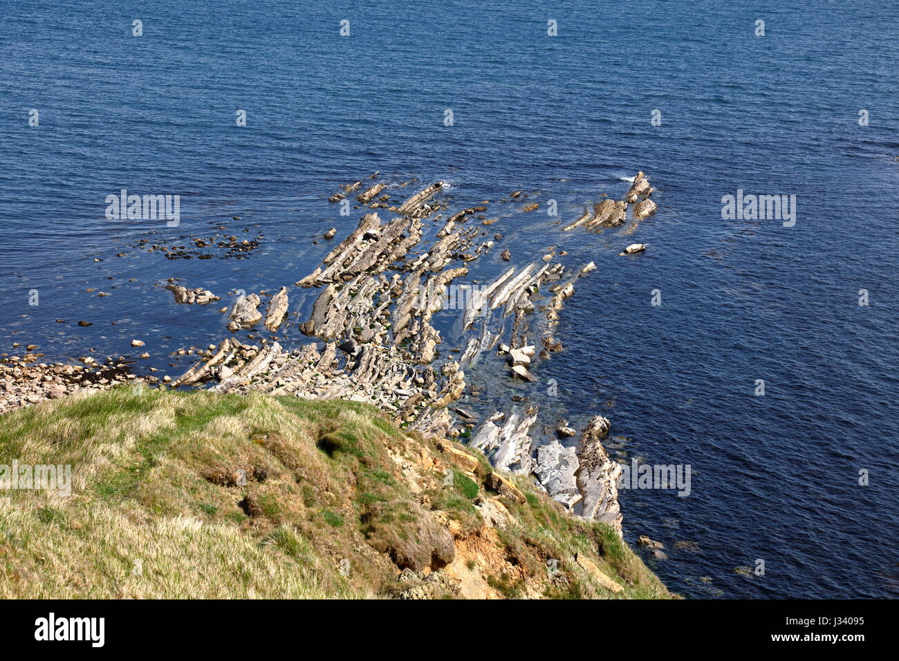 Mupe Rock Ledges near the Bay below Bindon Hill between Lulworth Cove ...