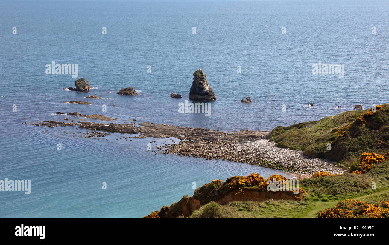 Mupe Rocks and Ledges near the Bay below Bindon Hill between Lulworth ...