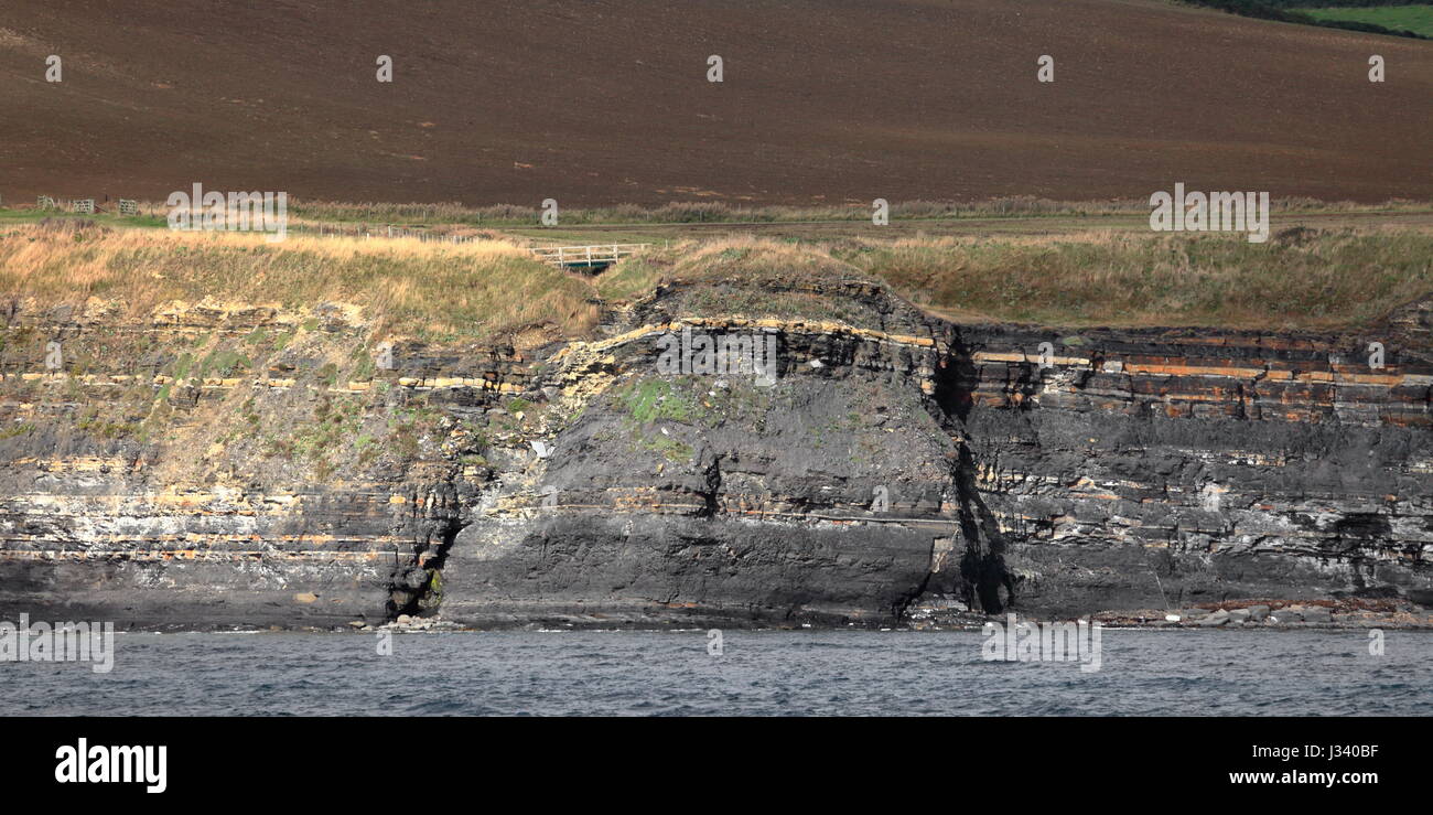 Jurassic Coast oil bearing shale, limestone strata cliff face and ...