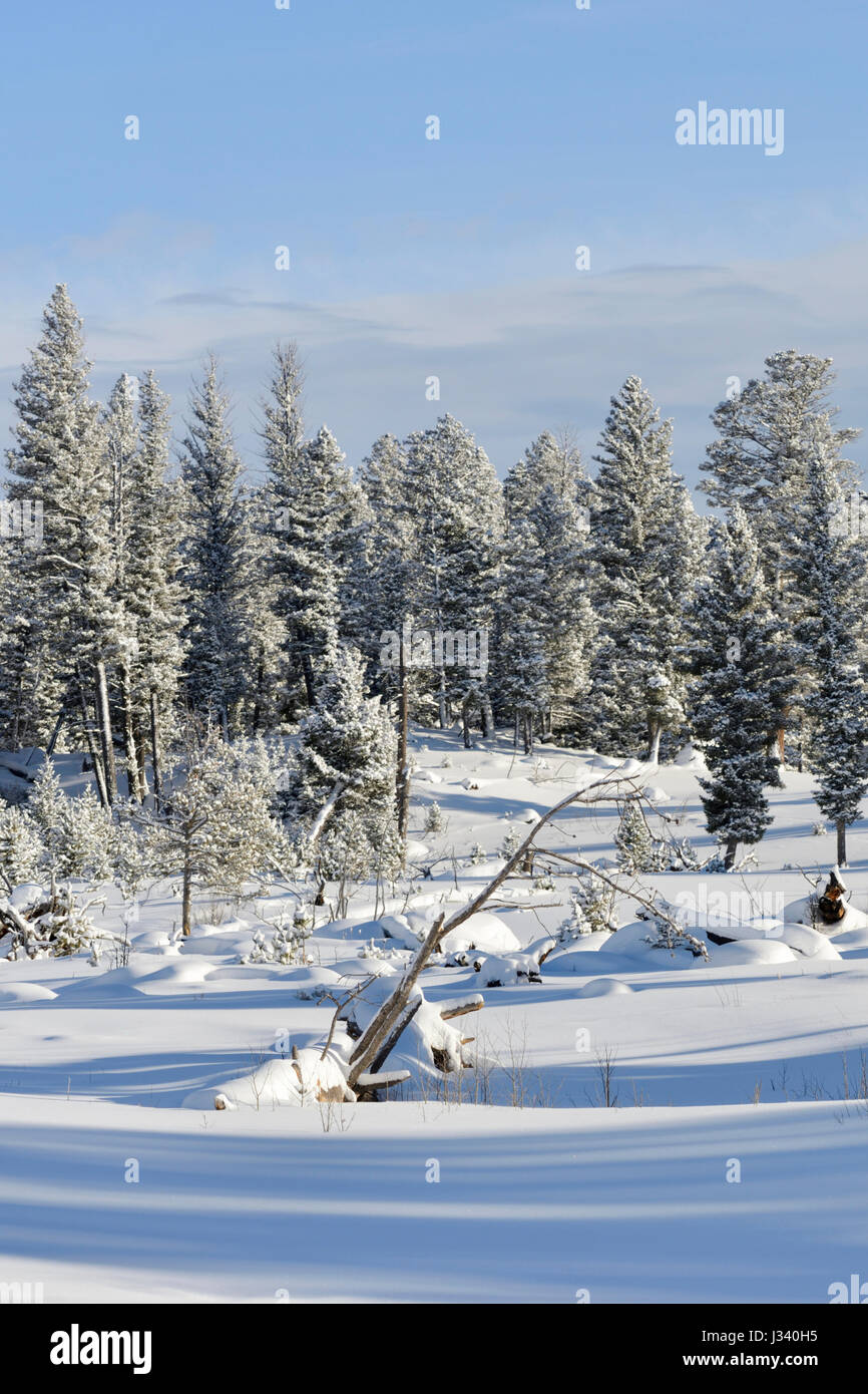 Deep space pictures hi-res stock photography and images - Alamy