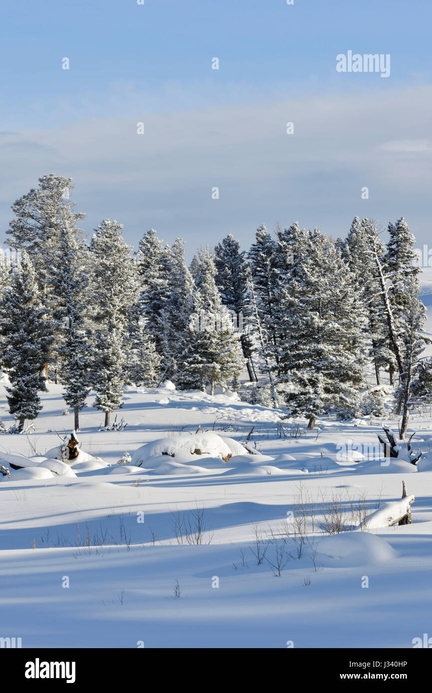 Deep space pictures hi-res stock photography and images - Alamy