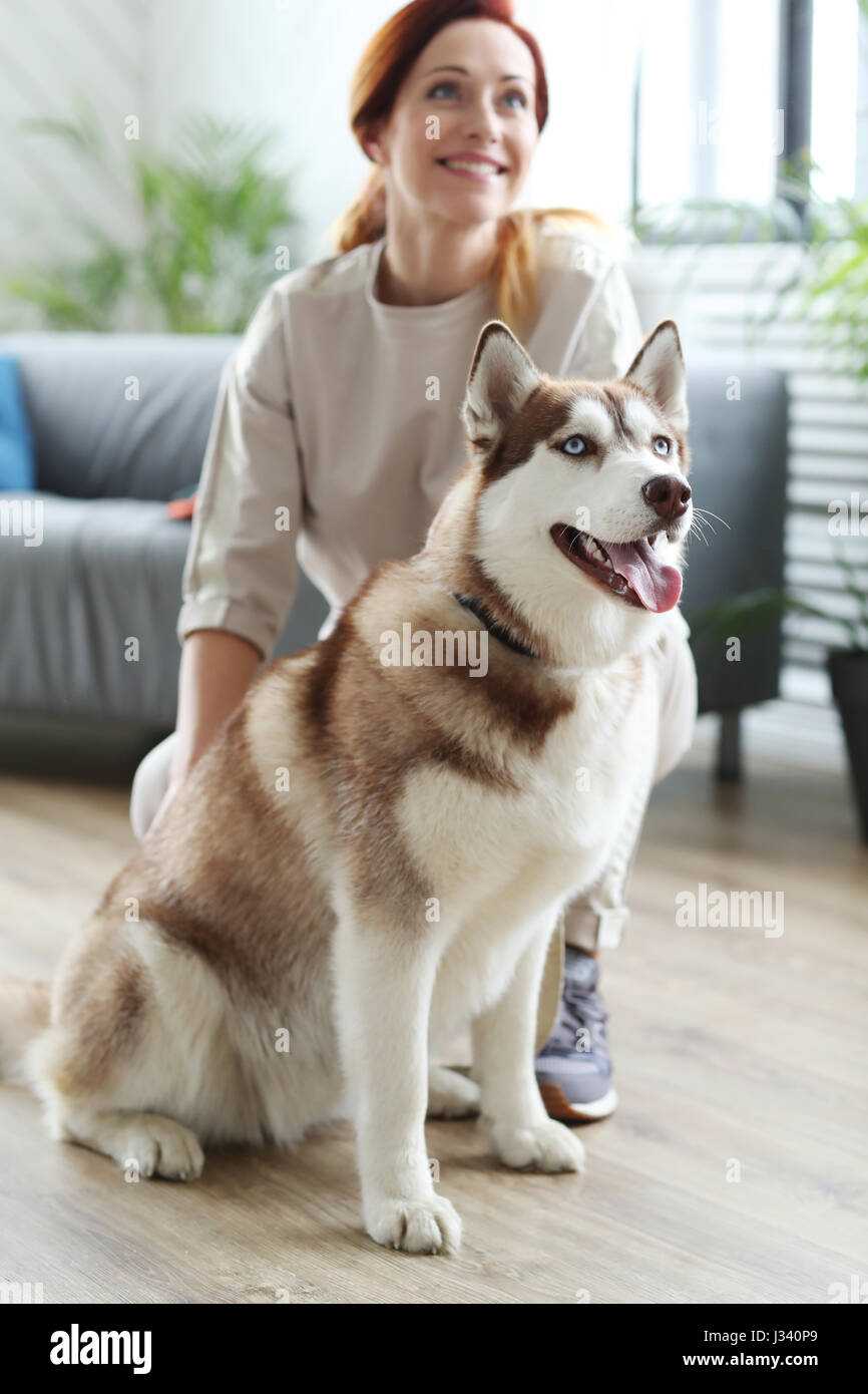 Woman with husky at home Stock Photo - Alamy