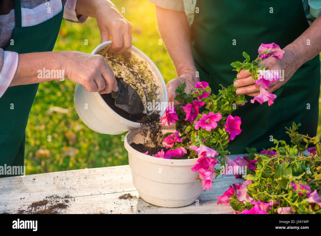 Elderly at work hi-res stock photography and images - Alamy