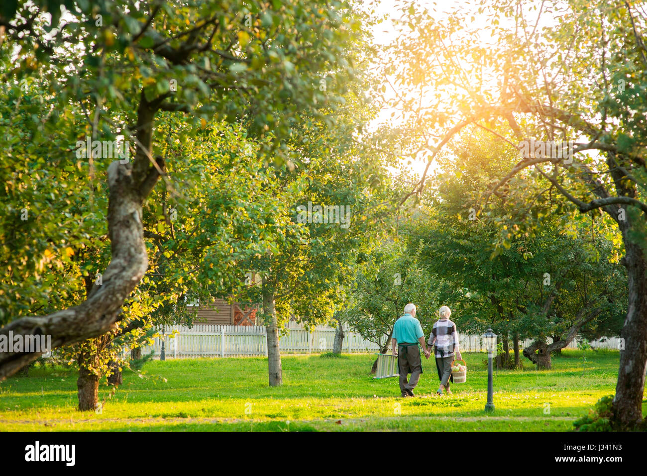 Senior people walking through lush hi-res stock photography and images ...