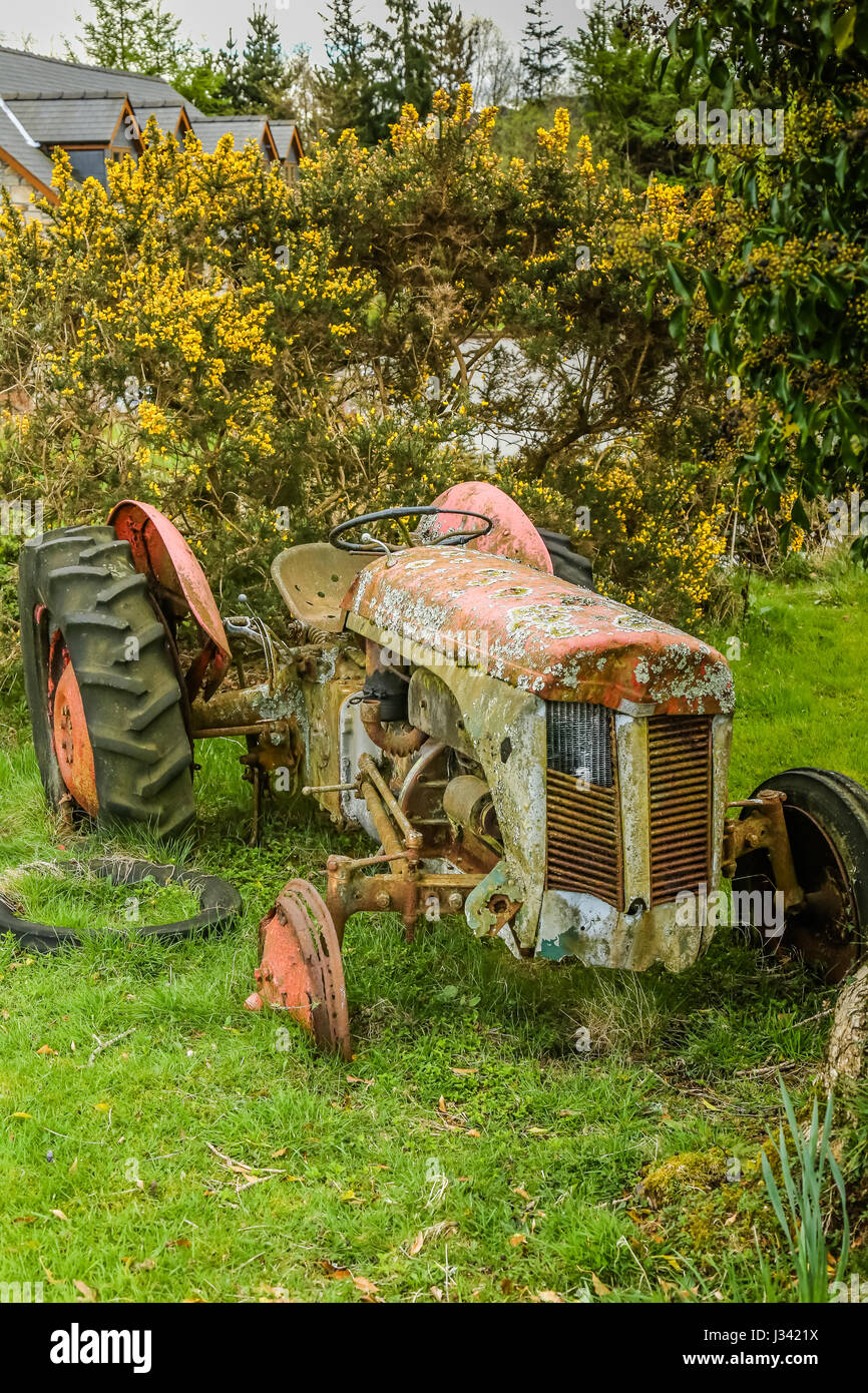 Old ferguson tractor hi-res stock photography and images - Alamy