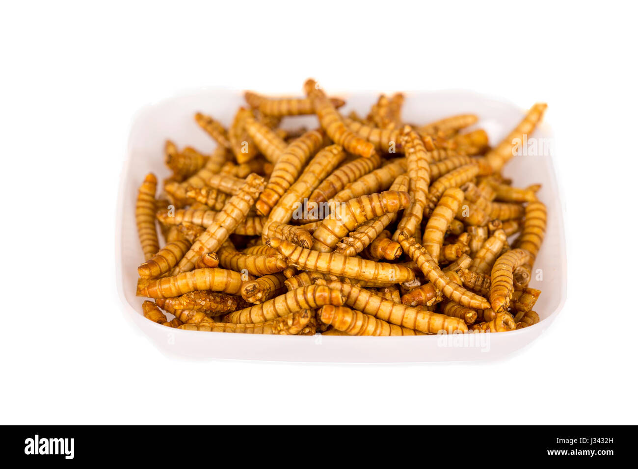 Plate of fried insects. molitors, Protein rich future ood Stock Photo ...