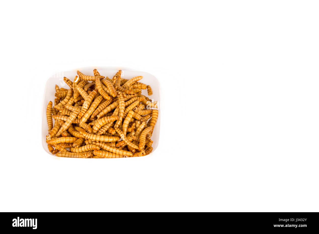 Plate of fried insects. molitors, Protein rich future ood Stock Photo ...