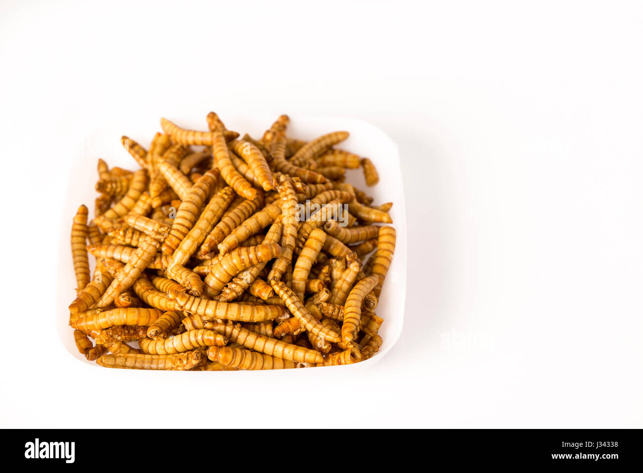 Plate of fried insects. molitors, Protein rich future ood Stock Photo ...